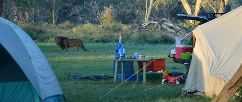 Two surprising and simple things that great teams have in common